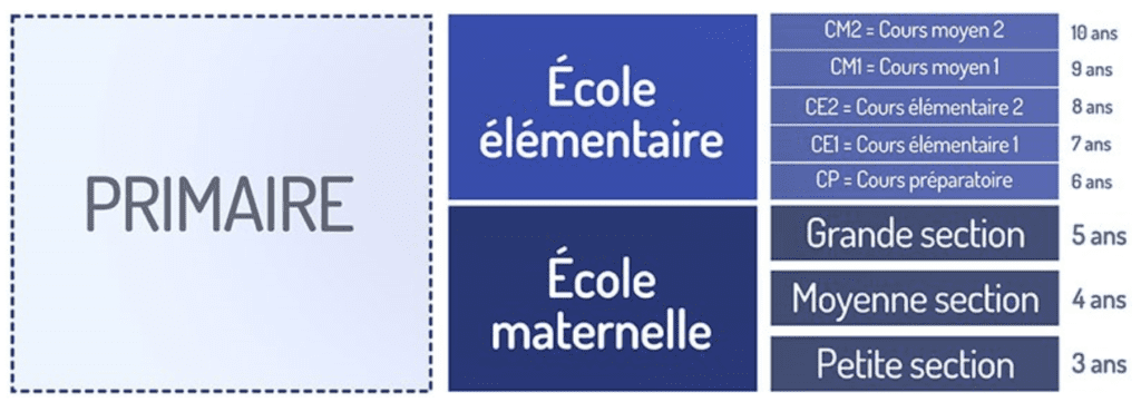 Primary School | LFLP