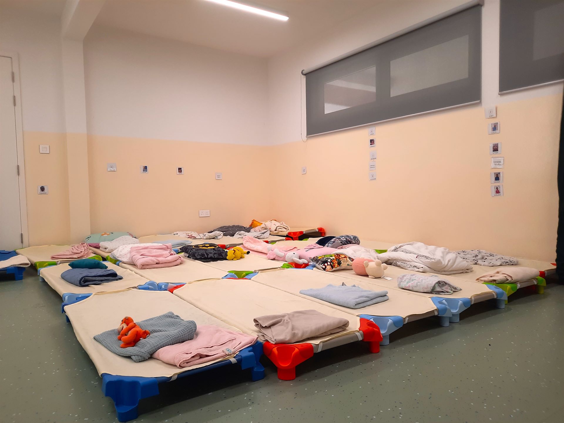 Primary School | LFLP